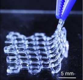 Printing 3D Jelly | Department of Chemical and Biomolecular Engineering